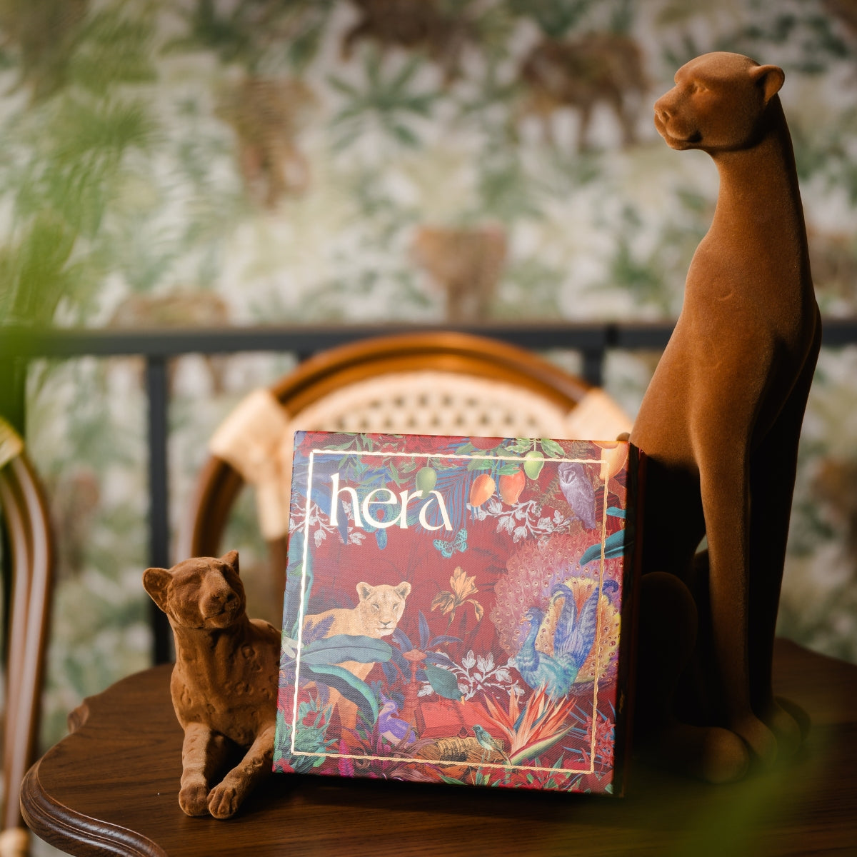 Ember 美洲獅 – Hera 赫拉