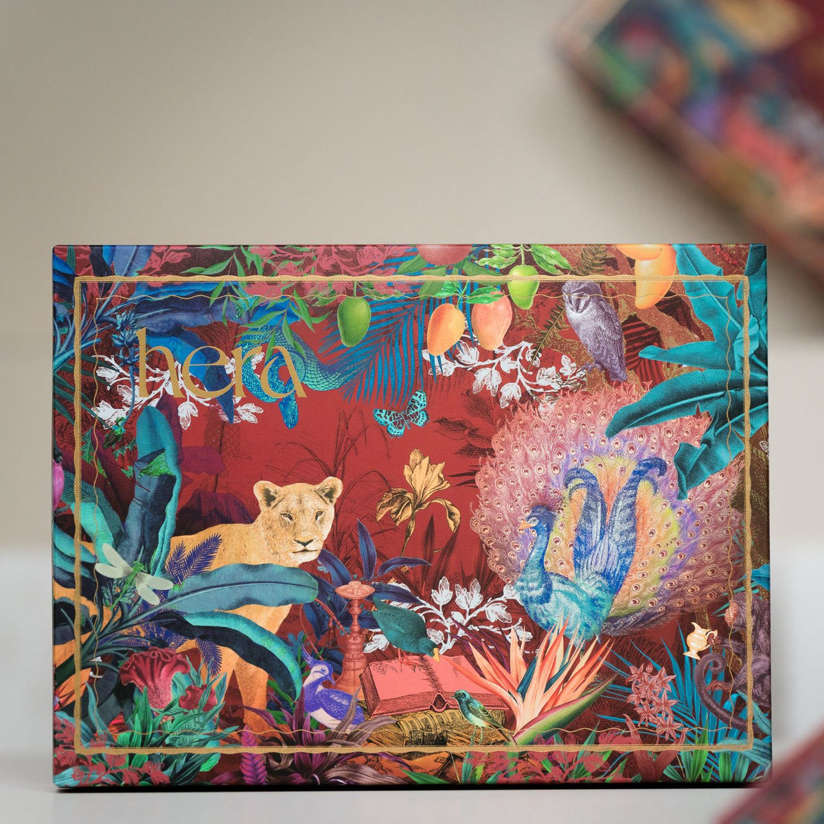 Ember 美洲獅 – Hera 赫拉